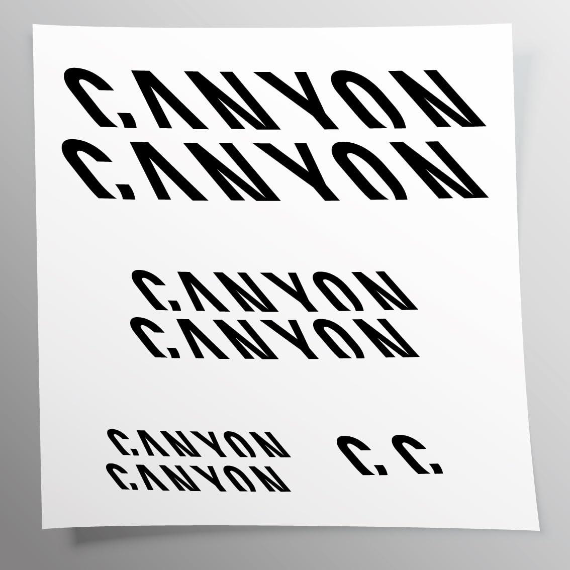 Buy Generic MTB Sticker Set for Canyon | Custom Bicycle Decals in ...