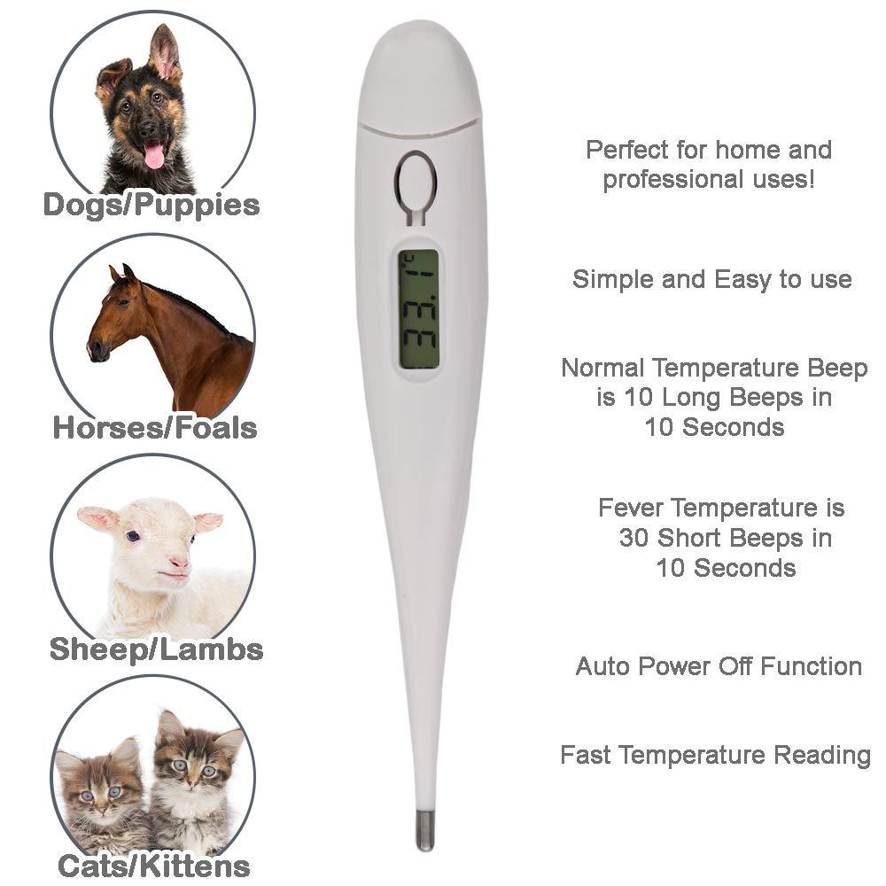 Pet Thermometer For Animal Owners of Dogs Cats Horses Vets Fixed Head ...