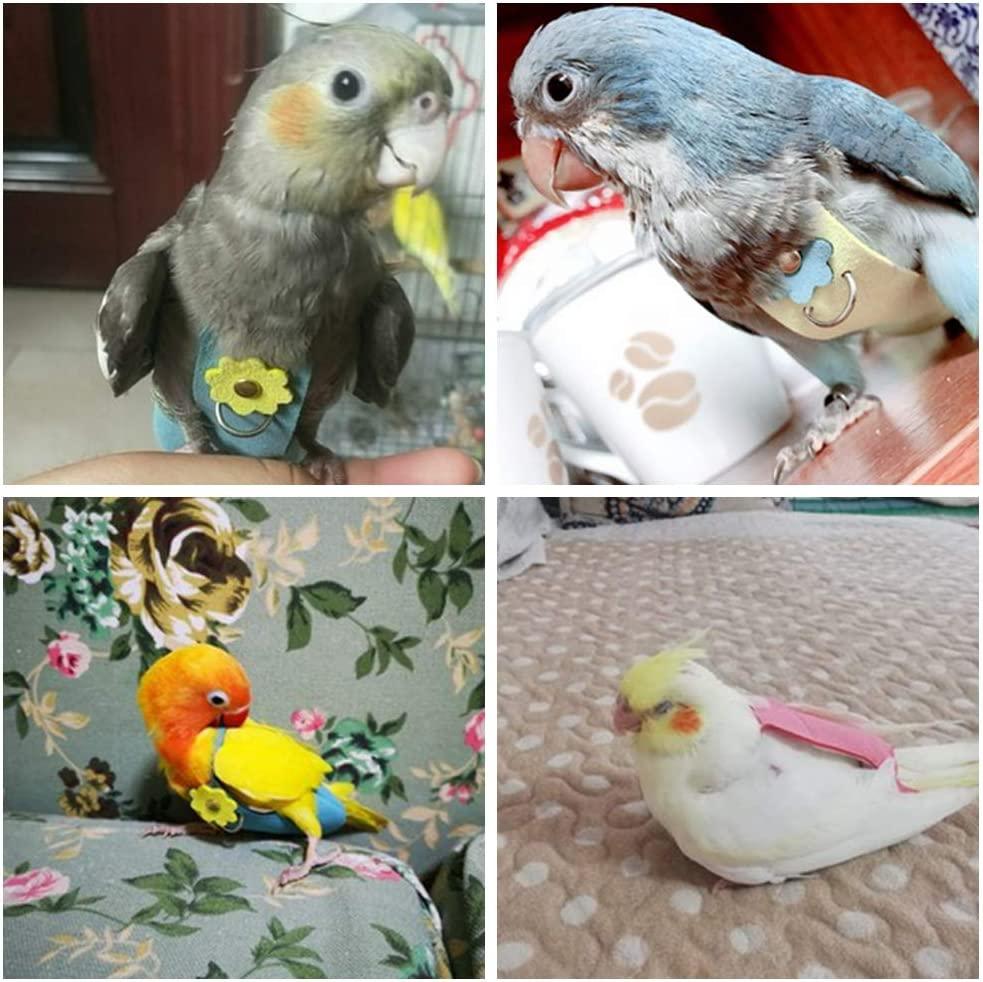 QBLEEV Bird Flight Suit Diaper with Leash - Adjustable Parrot Nappy for ...