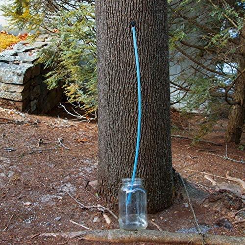 Maple Syrup Tree Tapping Starter Kit - 10 Taps & Tubing Lines ...