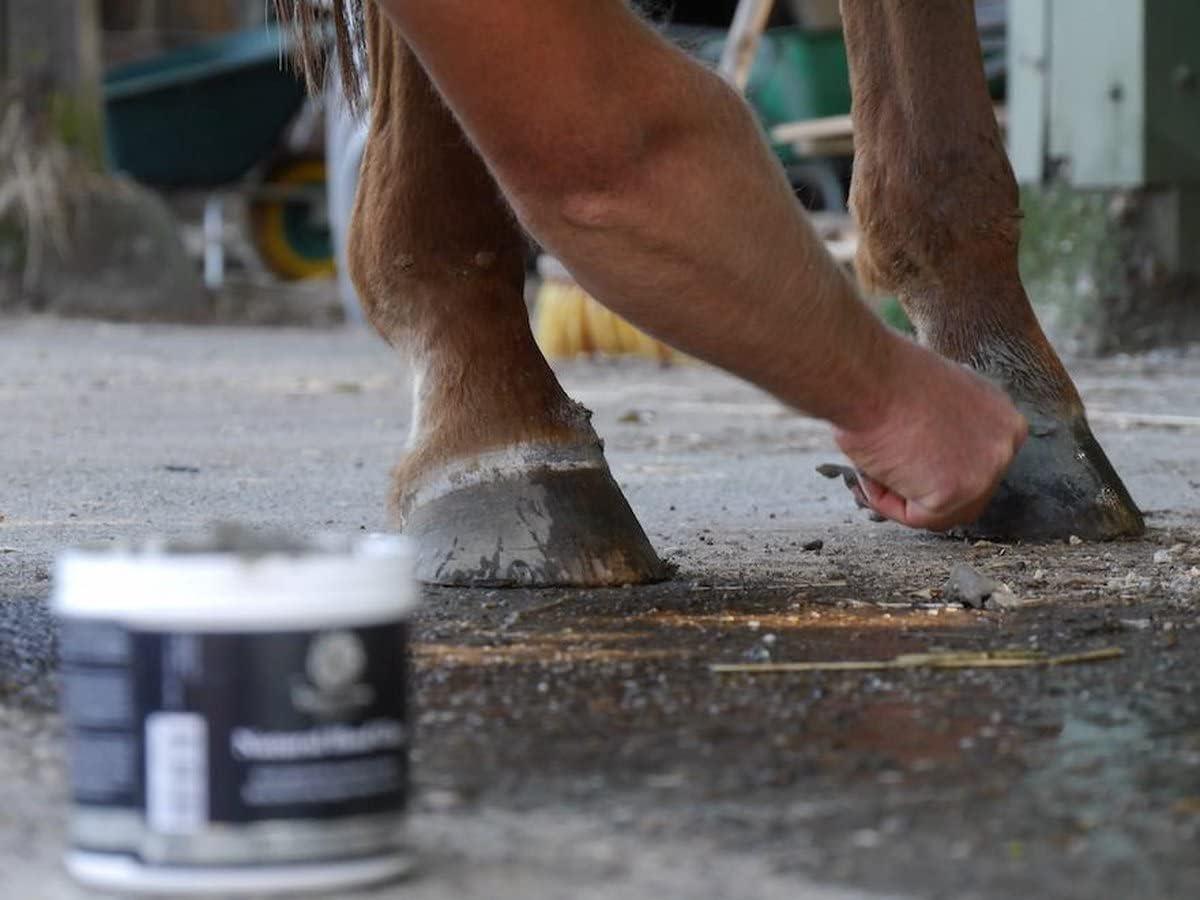 Buy Unique-Horn Natural Hoof Clay 600g | Ultimate Hoof Protection for ...