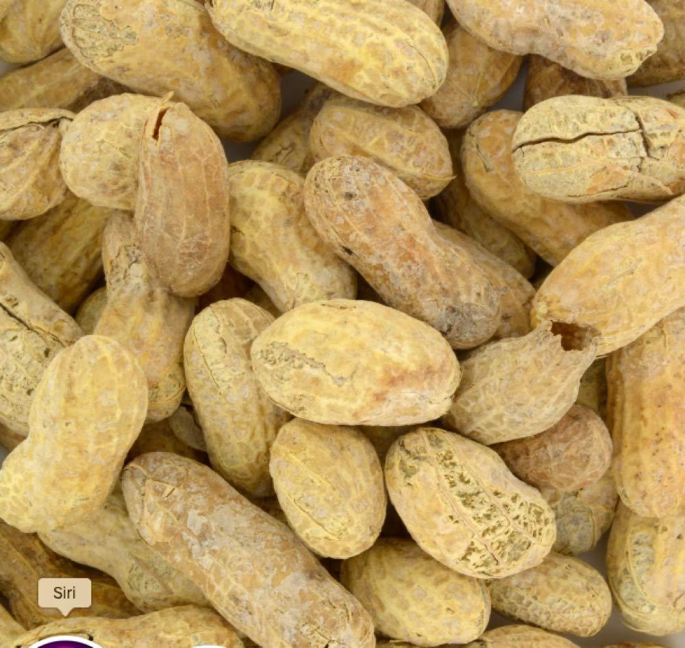 Salted Roasted Peanuts 10-oz. Bags - 2 Pack | Protein-Rich & Delicious ...