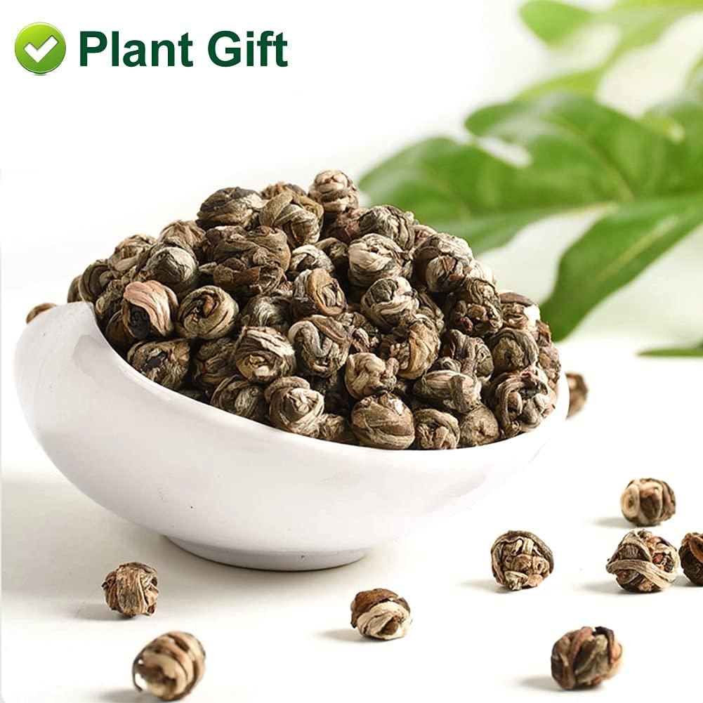 Plantgift Jasmine Dragon Pearls Tea 130g - Premium Green Tea & Oolong Blend - Best Jasmine Tea ...