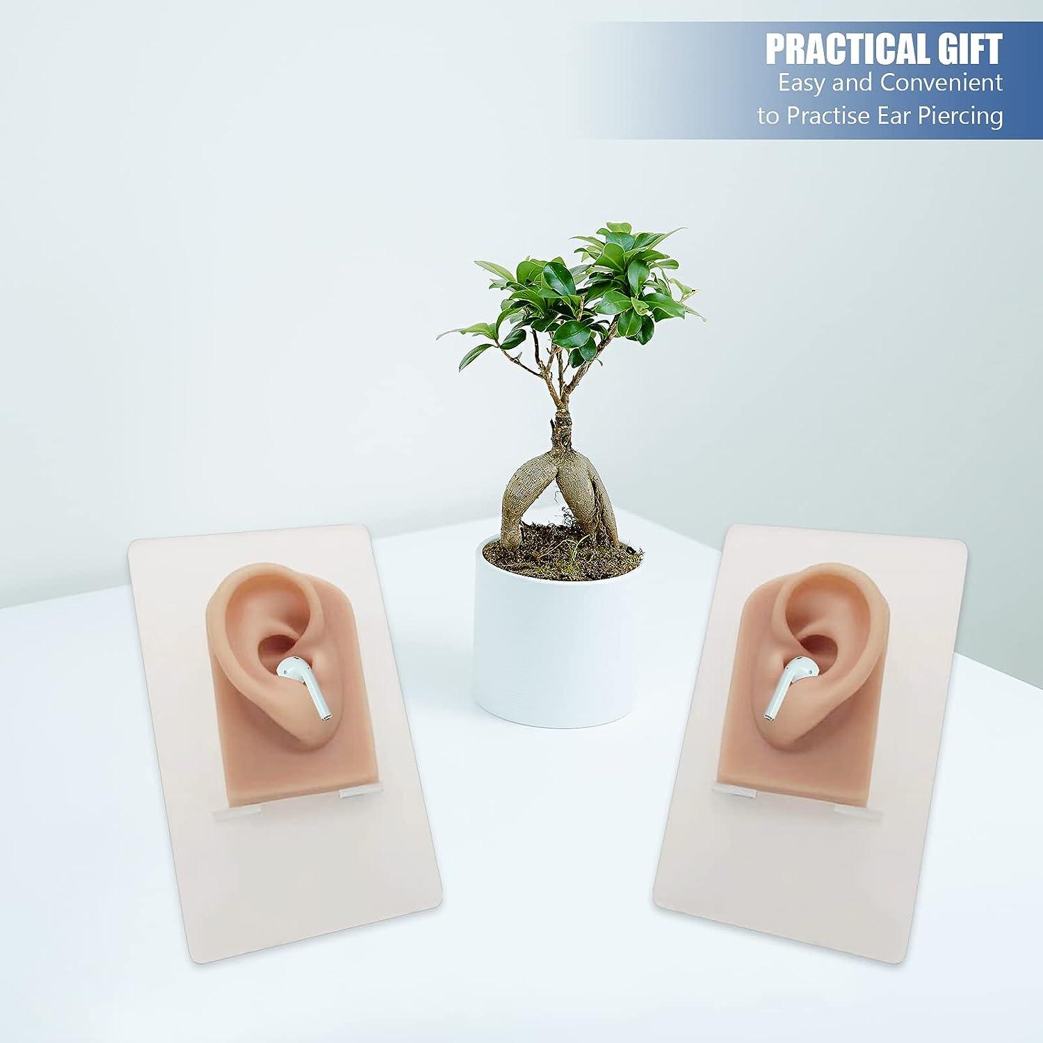 Silicone Ear Model Set with Acrylic Stand - Left & Right Fake Ear ...