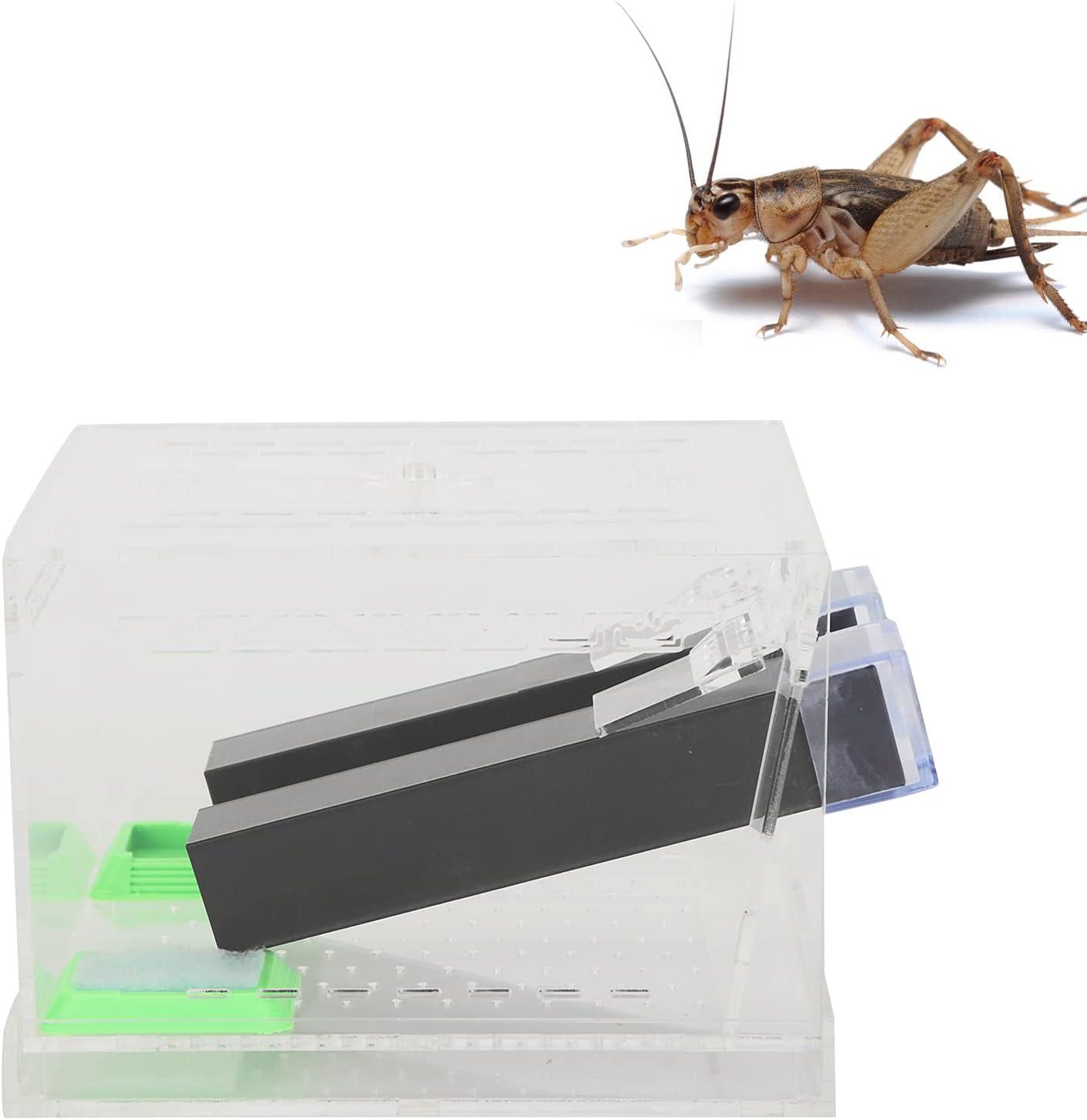 Cricket Keeper Cricket Care Kit Acrylic Feeding Cricket Pen with Food ...