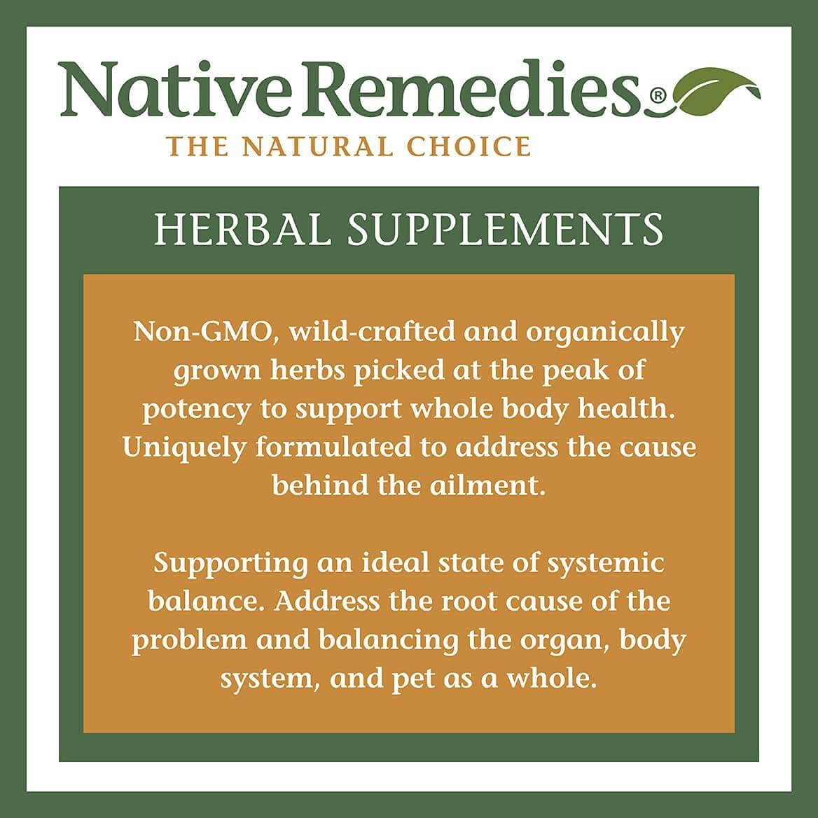 Native Remedies TinnaRex Herbal Supplement for Clear Hearing - Supports ...
