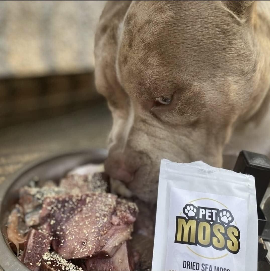 Pet Moss: Sea Moss For Cats | Multi-Mineral | Multi-Vitamin | Joint ...