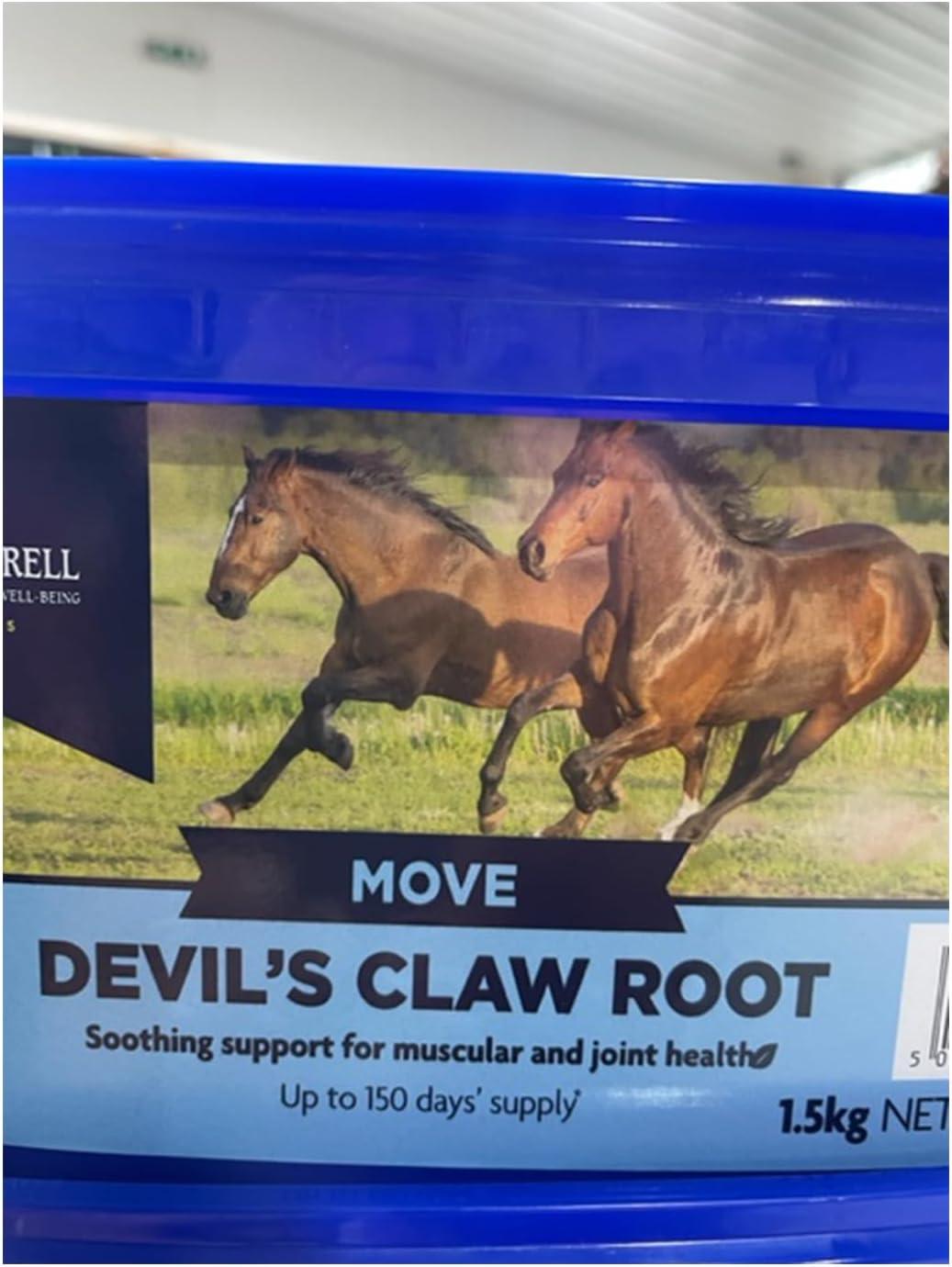 devil's claw root for horses