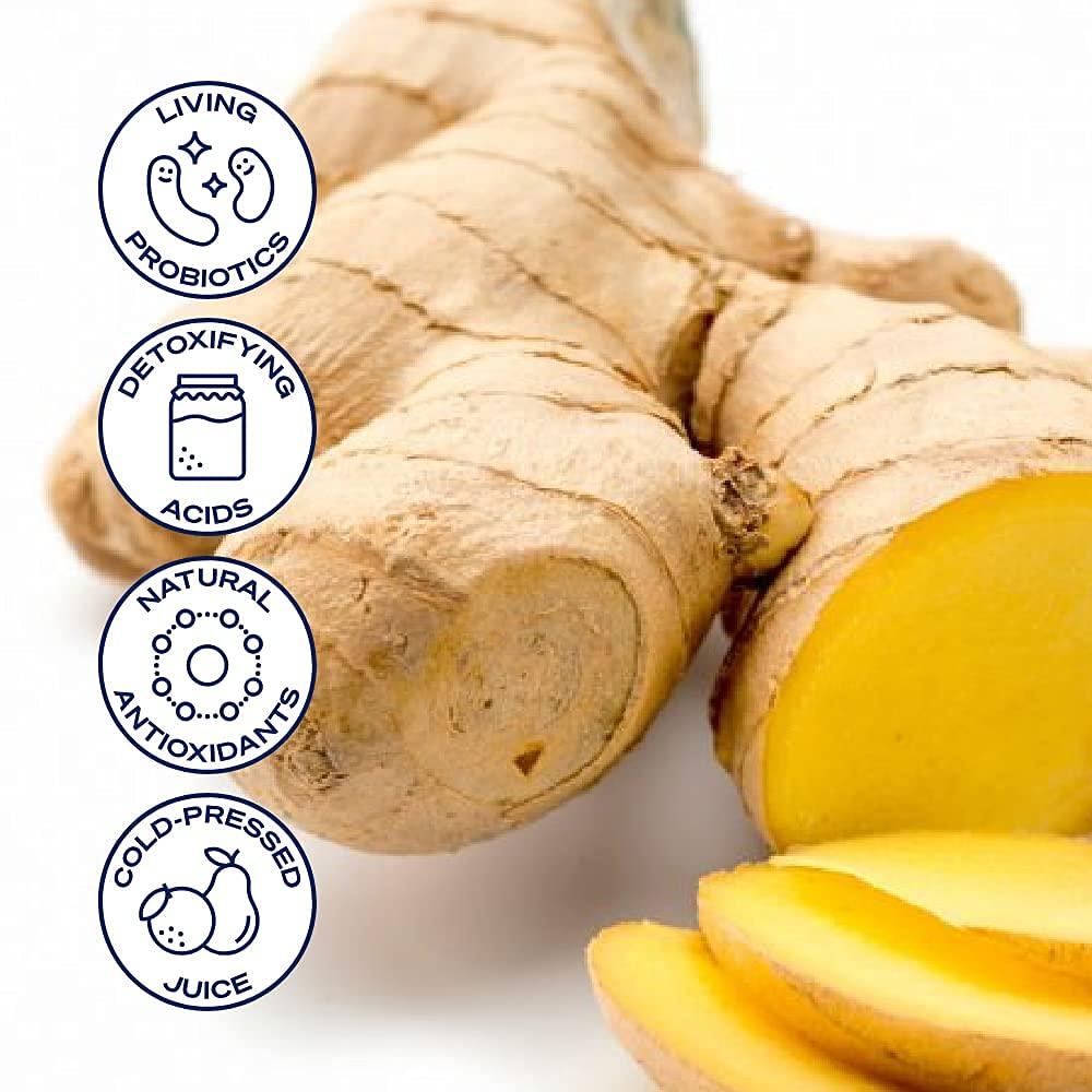 Health-Ade Organic Kombucha Tea 12 Pack - Ginger Immunity - Vegan, Non ...