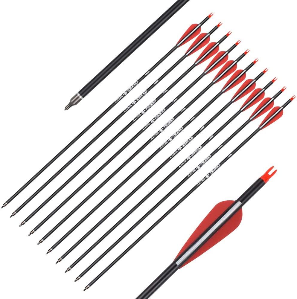 12 Pack 28 inch Carbon Arrow Hunting Arrows with 100 Grain Tips for ...