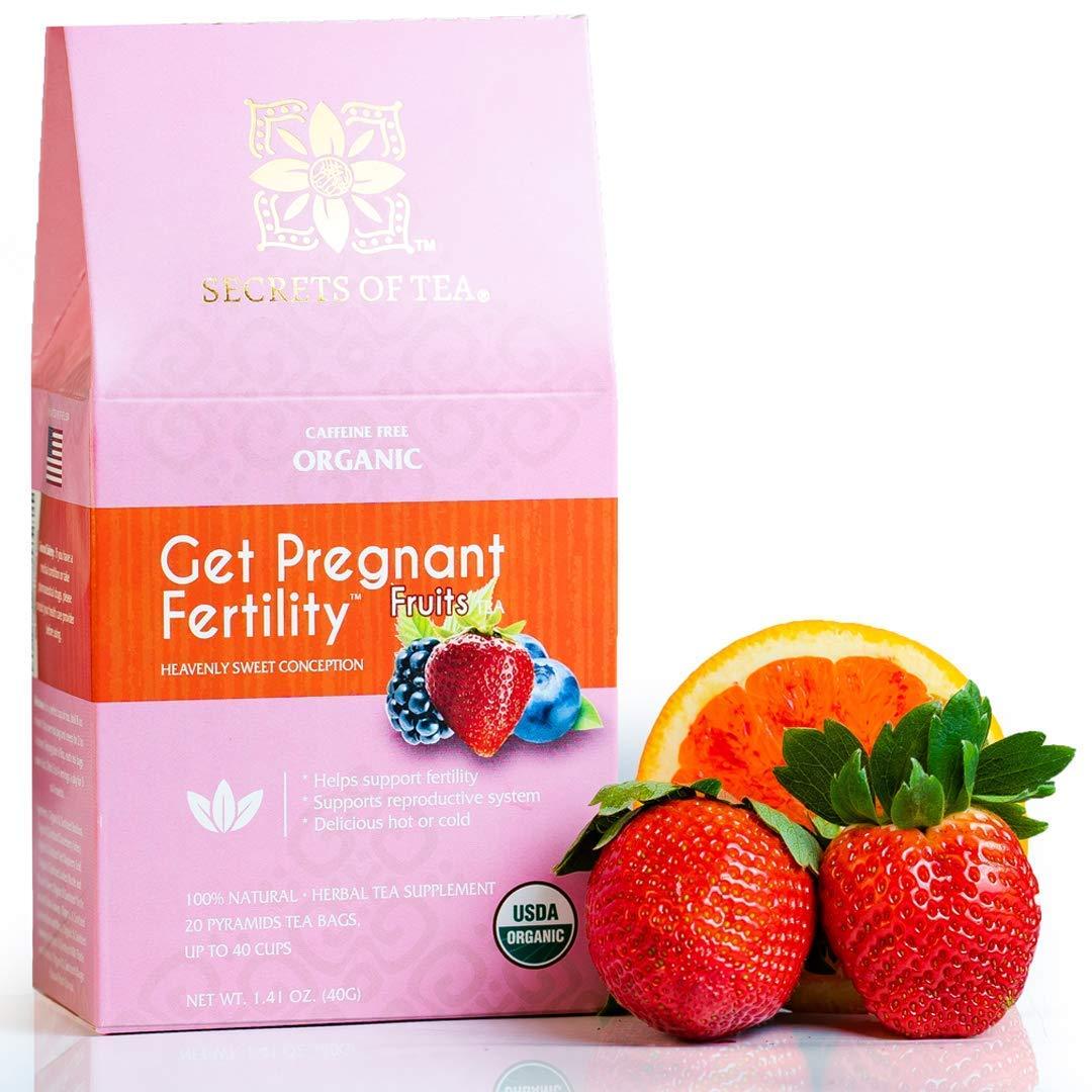 Organic Fertility Tea for Women - Red Raspberry Leaf & Vitex Blend - 20 ...