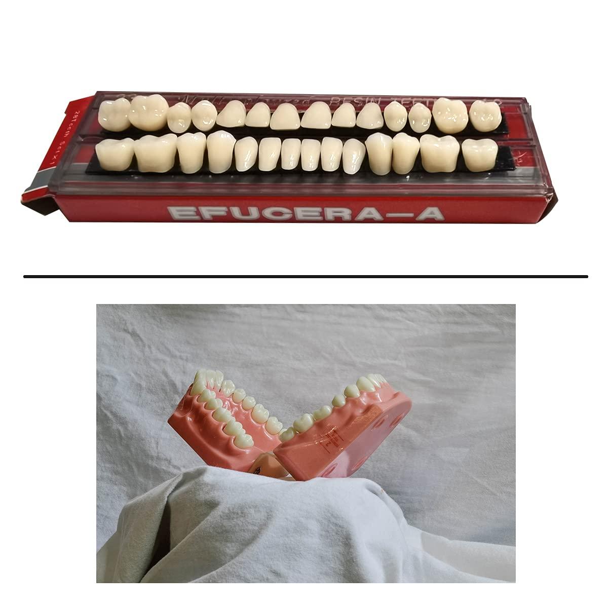 56 Pcs False Teeth Dental Complete Acrylic Resin Denture Set - DIY ...