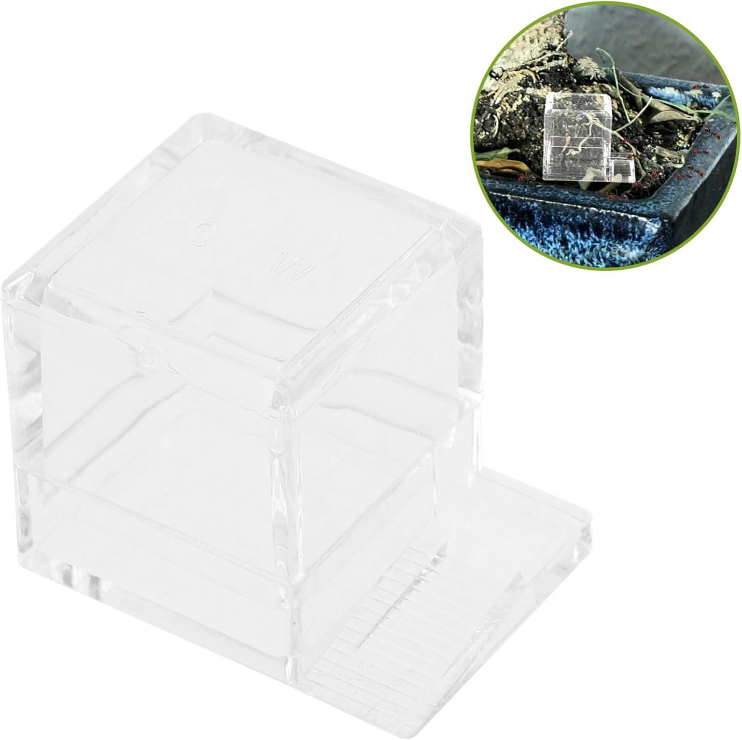 Kisangel Pet Water Feeder Insect Water Feeder Clear Ants Feeder Ants ...
