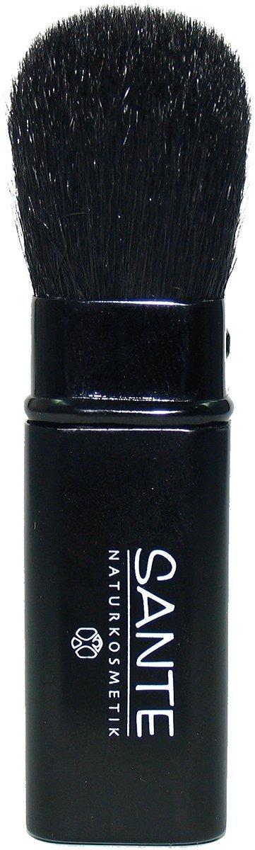 Sante Travel Powder Brush 0.05 oz | Best International Shipping & Eco ...