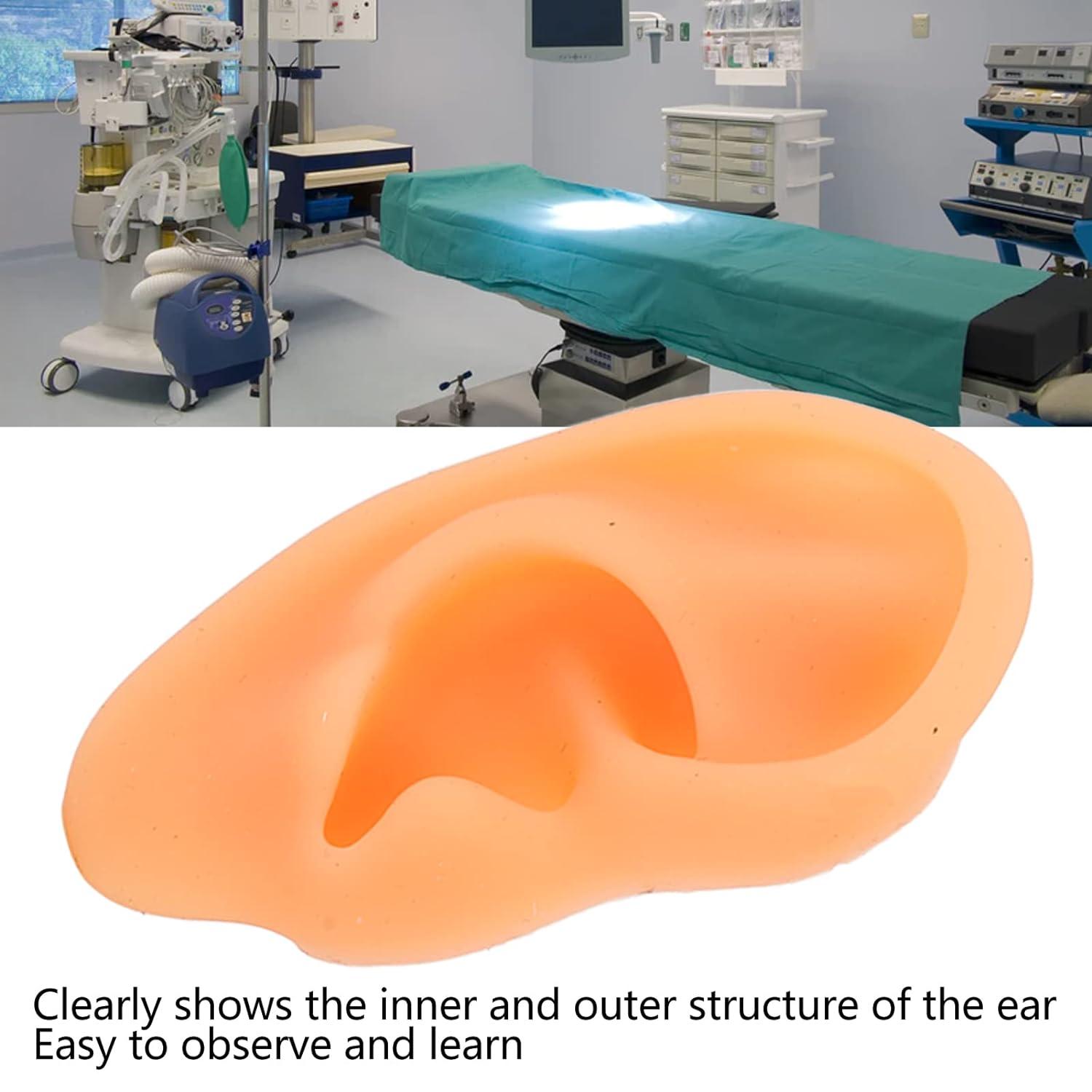 Soft Lifelike Silicone Flexible Left Ear Display Mould for Hospitals ...