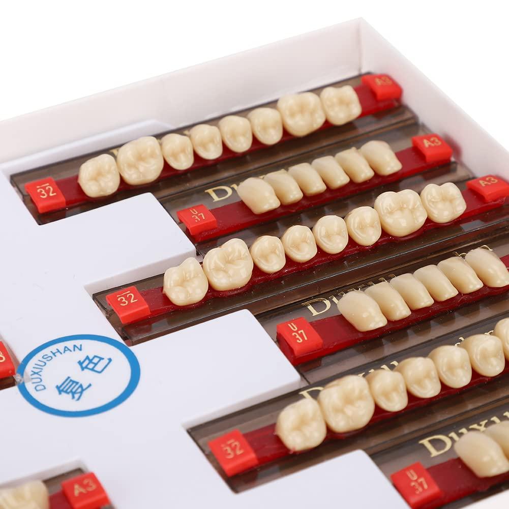 Buy Complete Resin Dentures | High-Quality Artificial Teeth & Dental ...