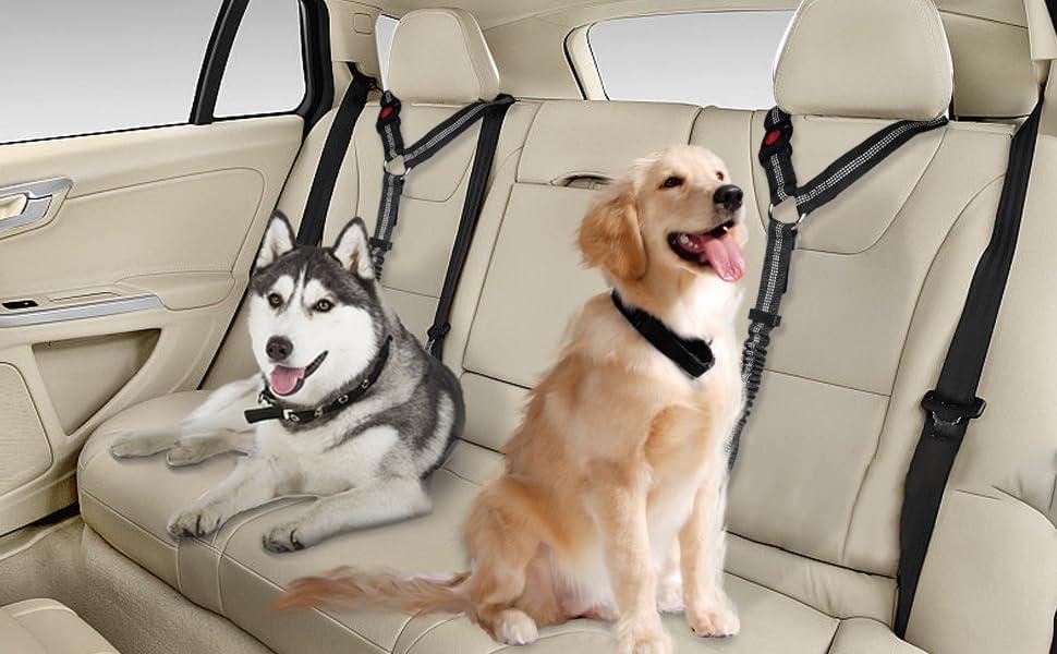 Adjustable Safety Crockery Dog Strap - Heavy Duty 360 Rotary Nylon ...