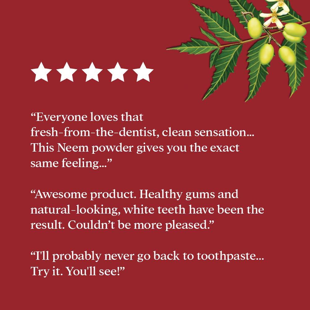TheraNeem Naturals Neem Tooth & Gum Powder - Gentle Mint 40g by Organix ...