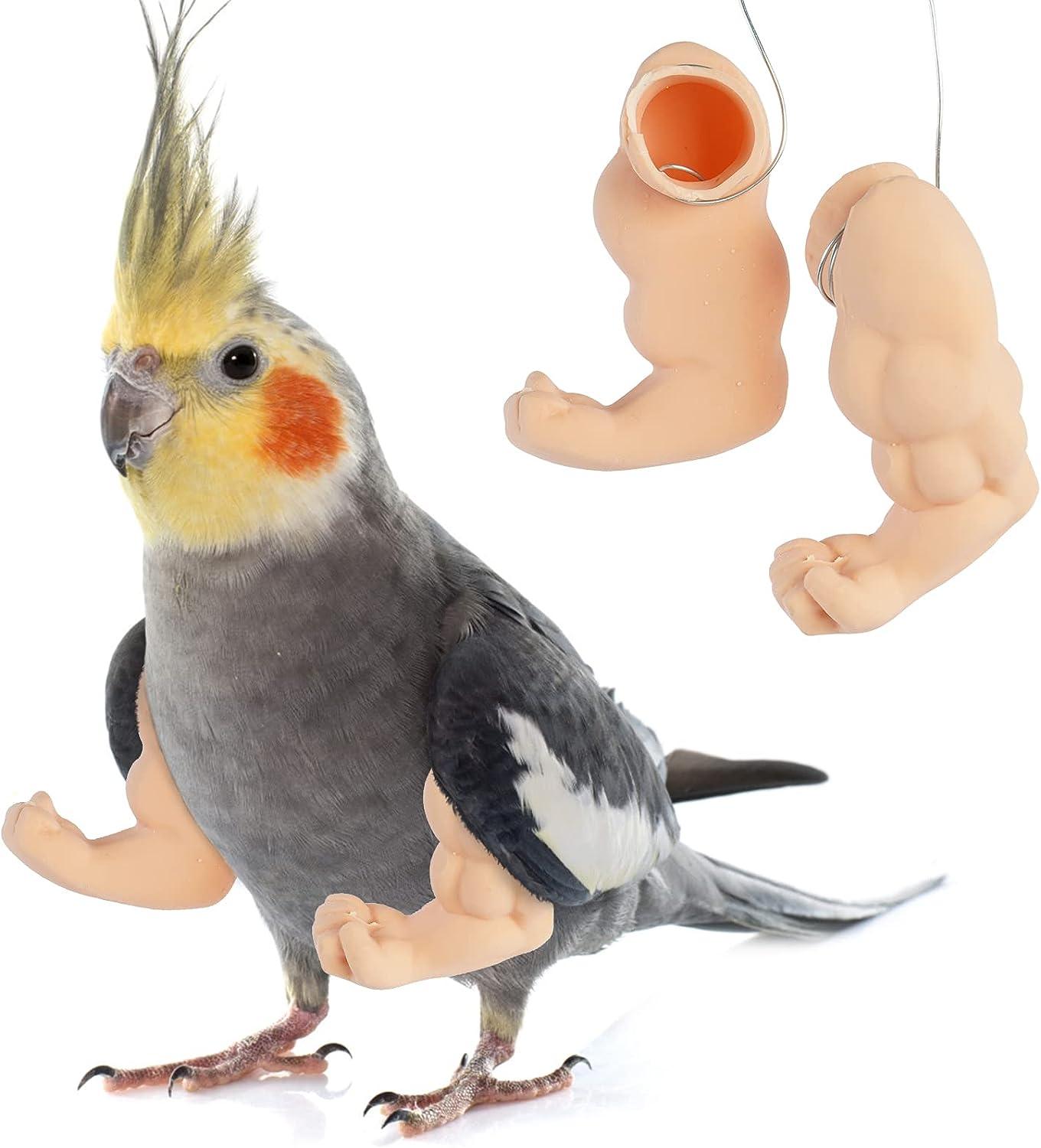 FUAMEY Muscle Chicken Arms Toys for Chickens to Wear Funny Costume Fist ...