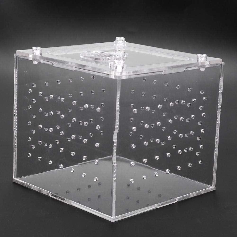 Acrylic Reptile Breeding Box Transparent Live Food Storage Insect ...
