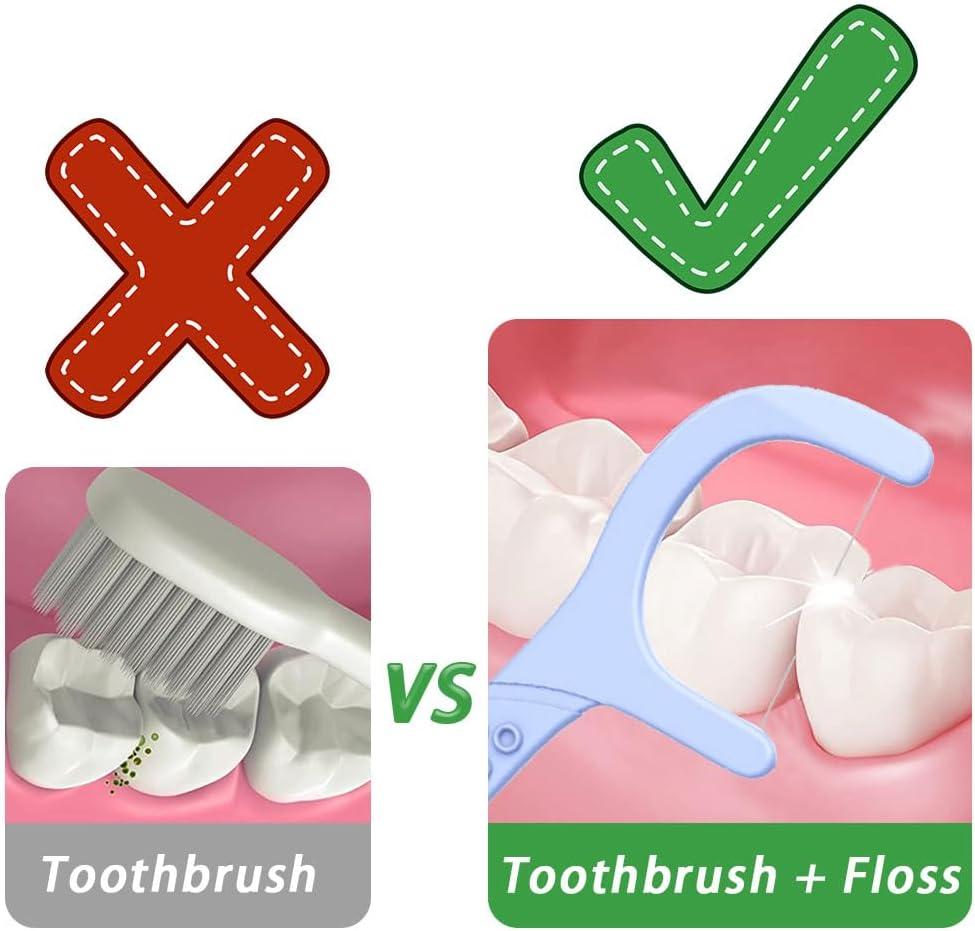 Dental Floss Picks 2-in-1 - 300 Pcs Disposable Interdental Sticks for ...