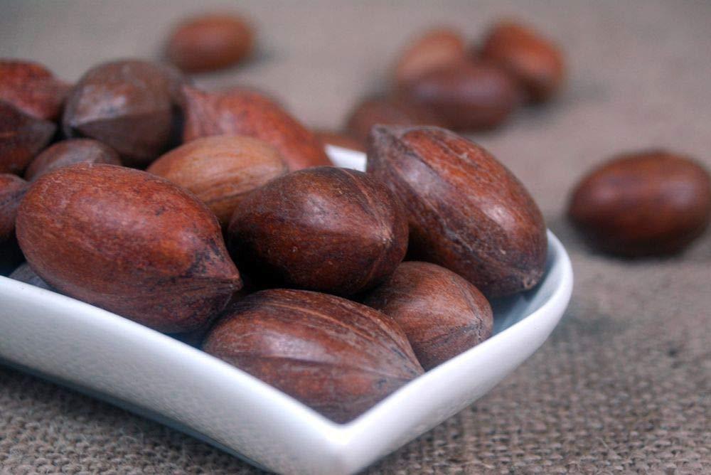 Krauterino24 Whole Pecans in Shell - 50g | Premium Quality Nuts for ...