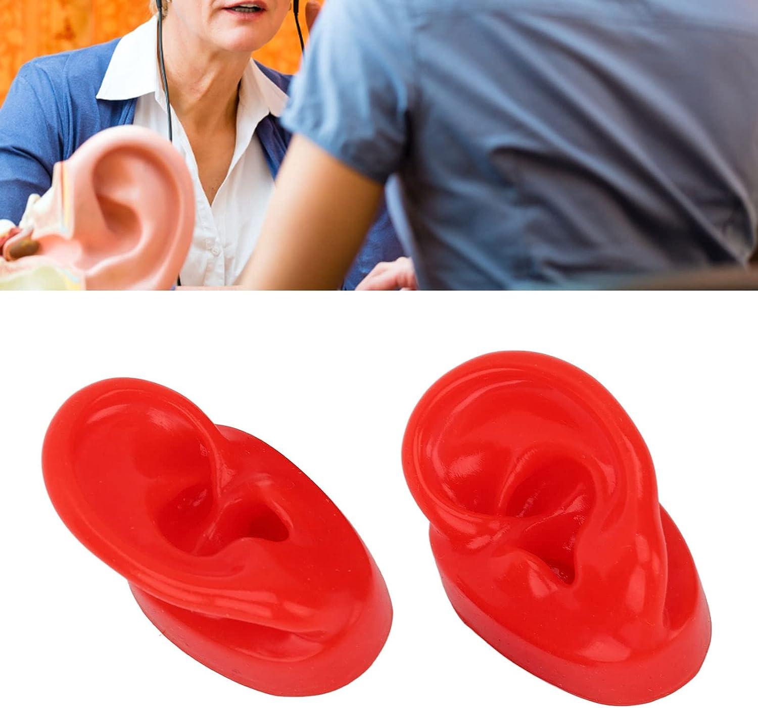 Silicone Ear Model - Human Ear Display for Jewelry & Hearing Aid ...