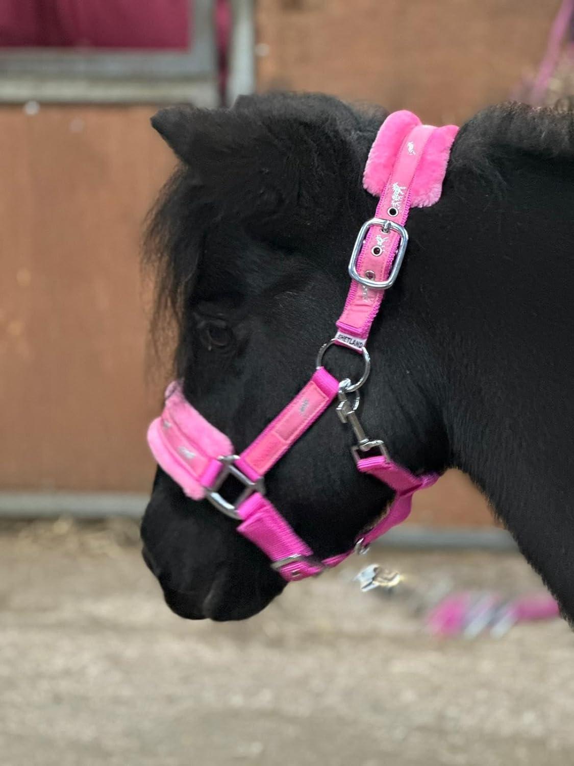 Equipride Horse Print Faux Lined Nylon Headcollars with Matching Lead ...