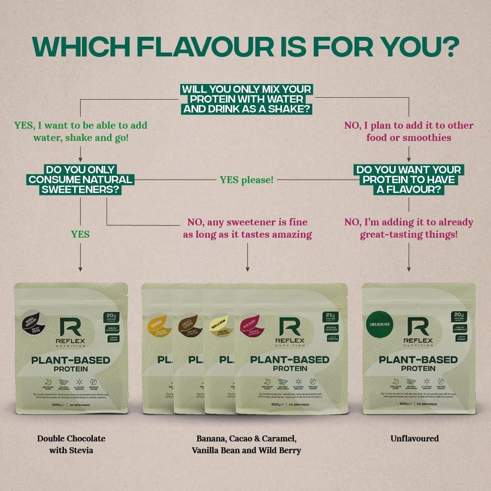 Reflex Nutrition Plant Based Vegan Protein with B12 (Double Chocolate ...