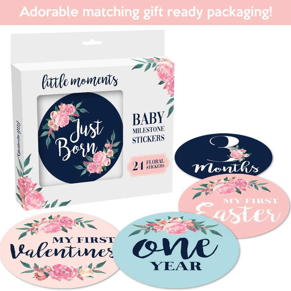 Floral Baby Monthly Stickers for Girls (Set of 24) | Newborn Milestone ...