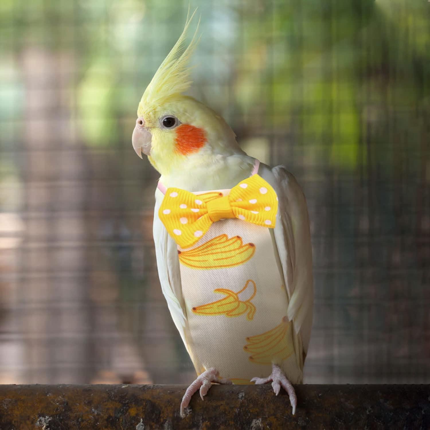 QBLEEV Cockatiel Diaper Flight Suite Liners - Yellow Pink Blue Chicken ...