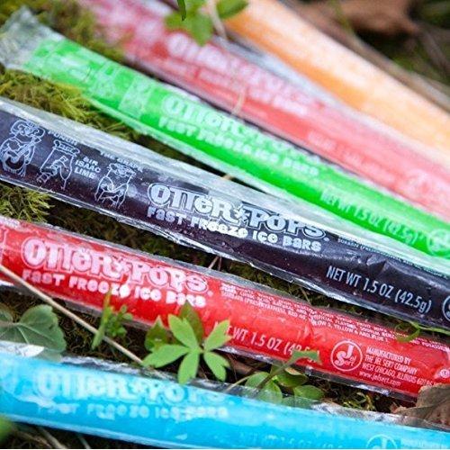 Otter Pops Original Assorted Freezer Pops - 100 Count, 6 Zippy Flavors ...