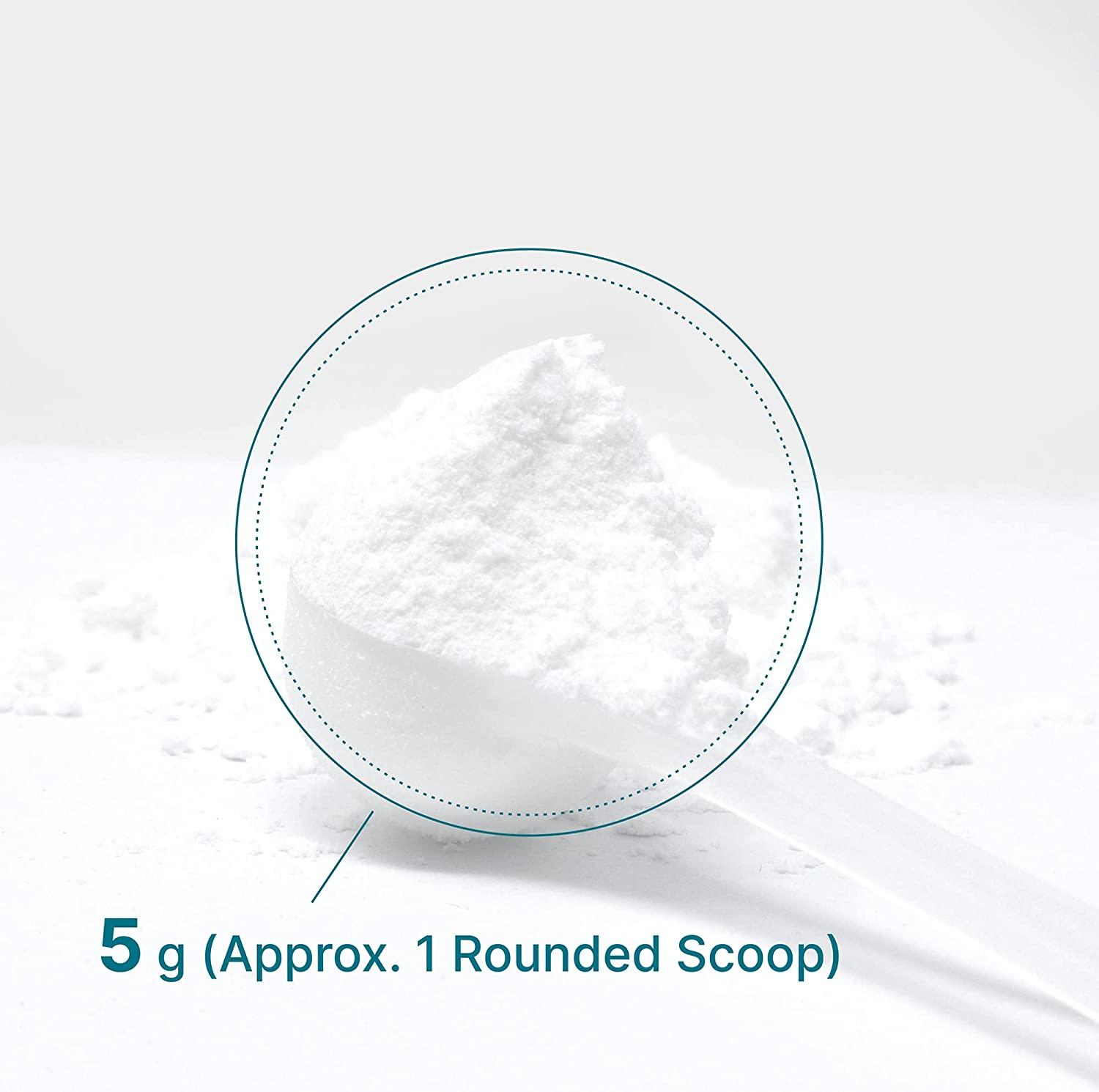 300g Micronized Creatine Monohydrate Powder - 5000mg (5g) Per Serving ...