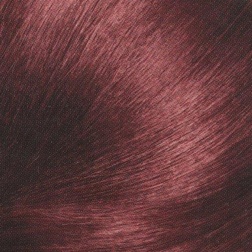 Garnier Olia Ammonia-Free Hair Color in Dark Garnet Red - Permanent ...