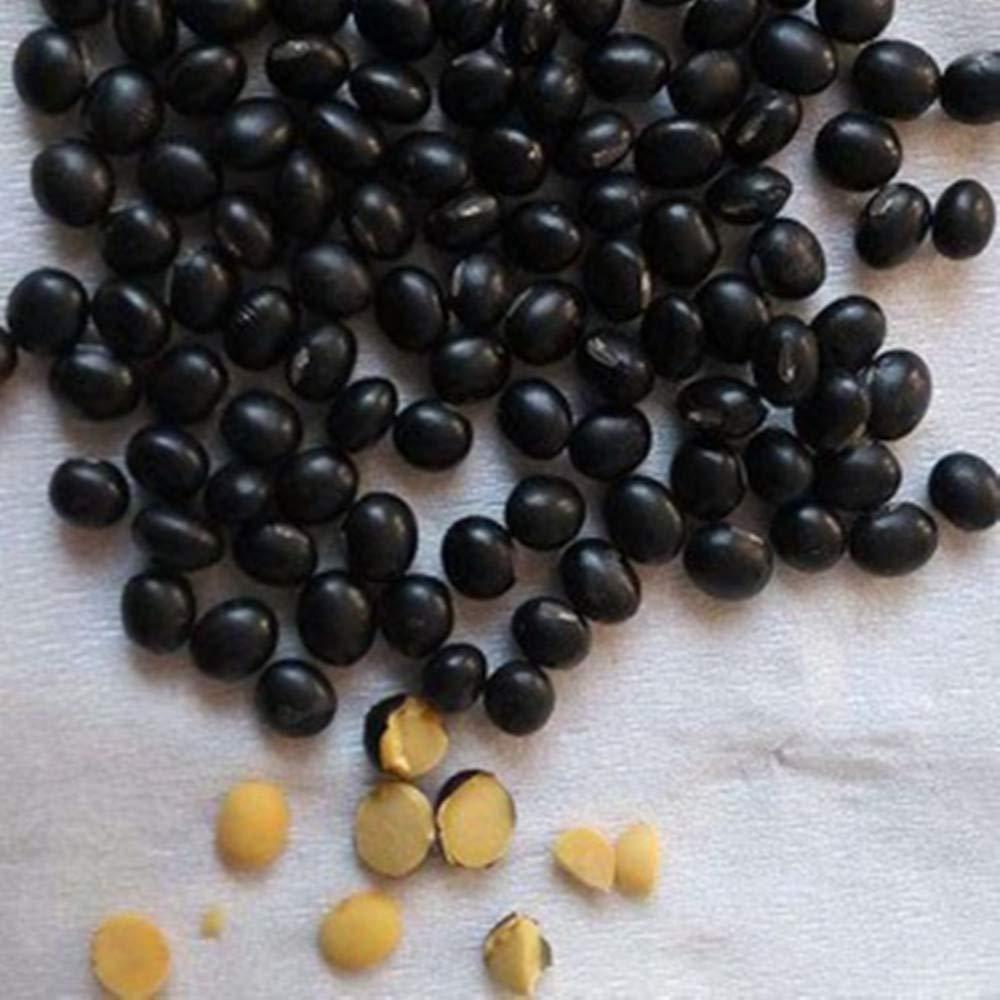GLORIOUS INHERITING Black Soybean with Yellow Kernel - 500g Retail Bag ...