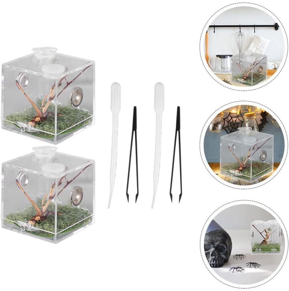 Mipcase Jumping Spider Enclosure: Acrylic Habitat Box for Insects ...