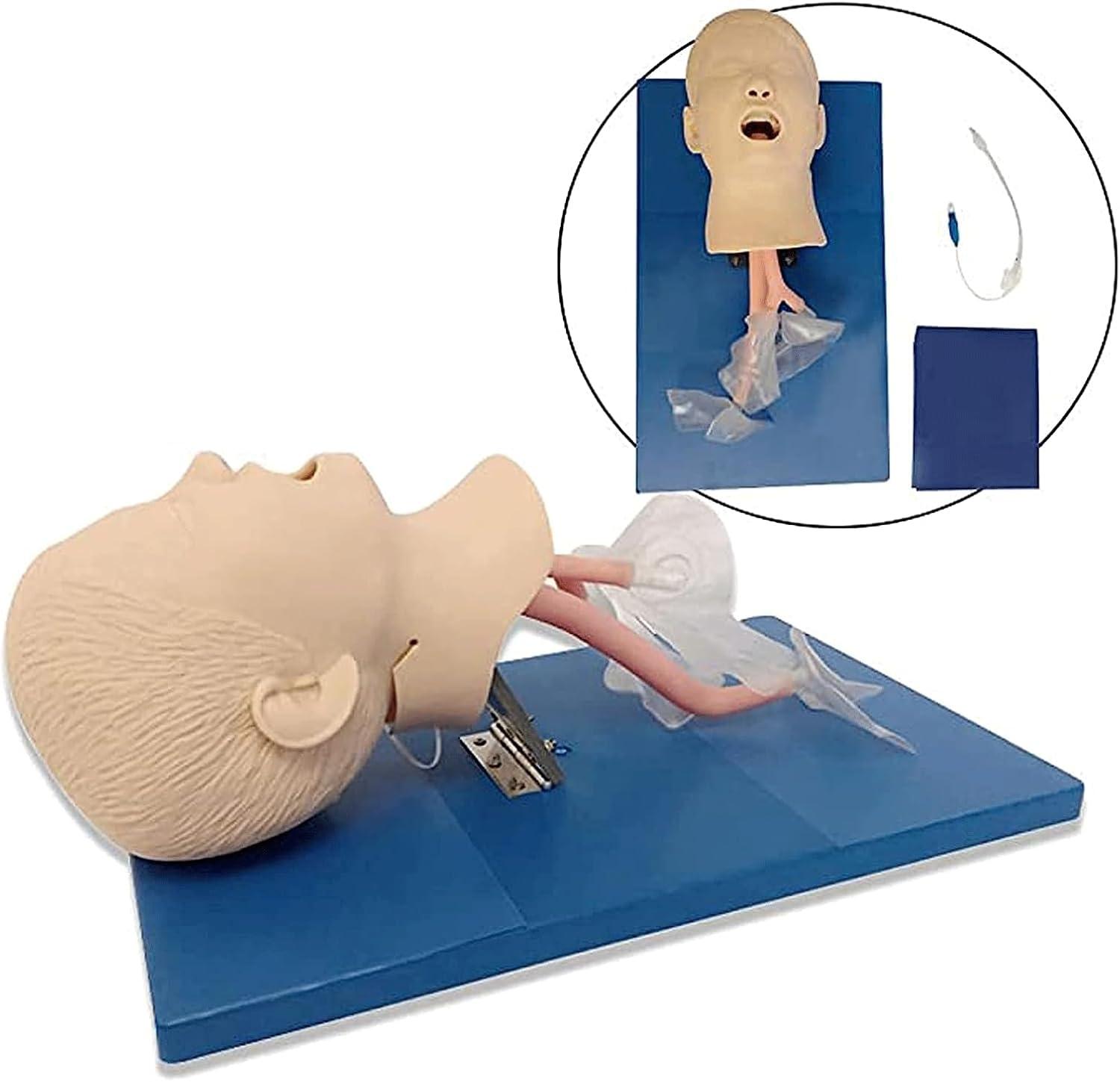 Neonatal oronasal Intubation Model Airway Management Trainer PVC Demo ...