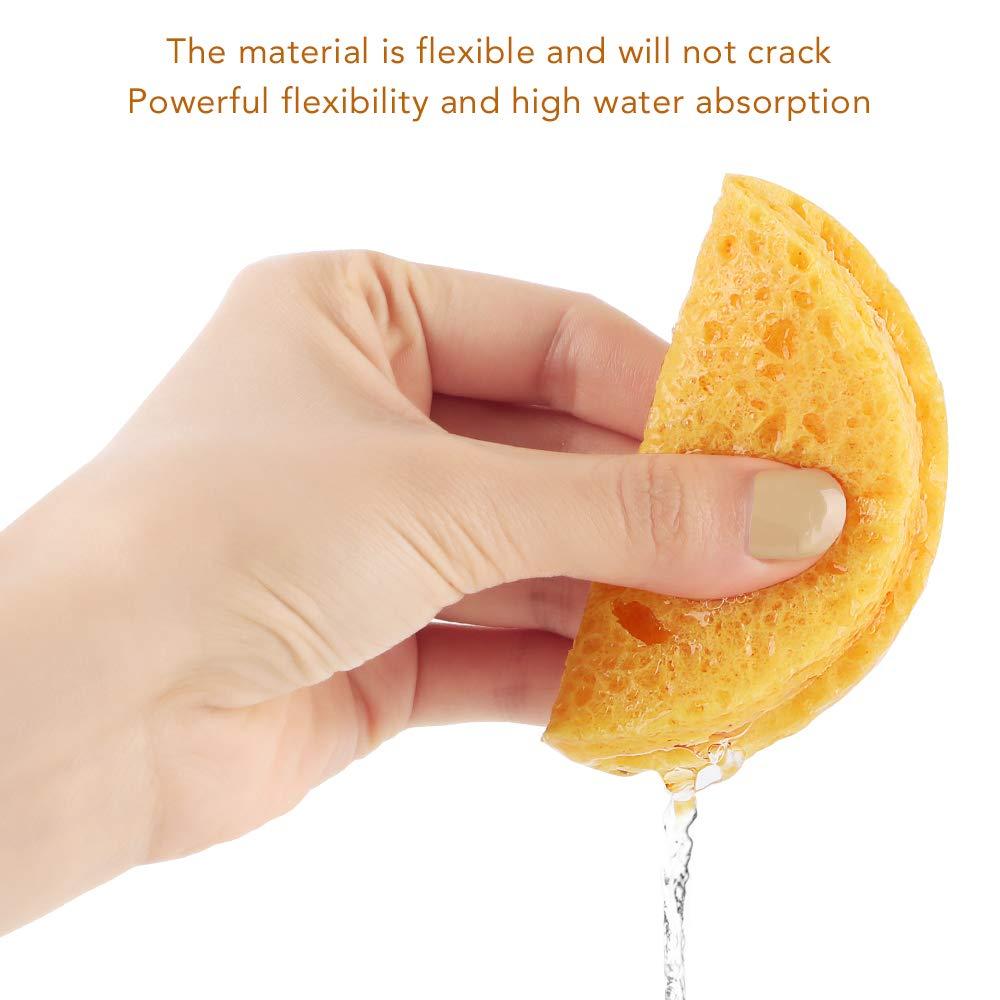 52-Count Compressed Facial Cleaning Sponges for Face Cleansing and ...