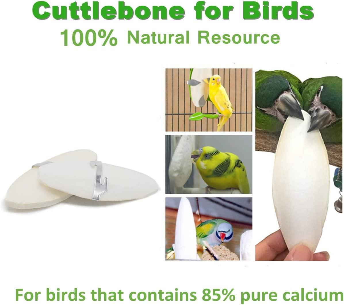 Jmxu's 5"-5.5" Bird Cuttlebone for Parakeets, Cuddle Bone with Metal ...