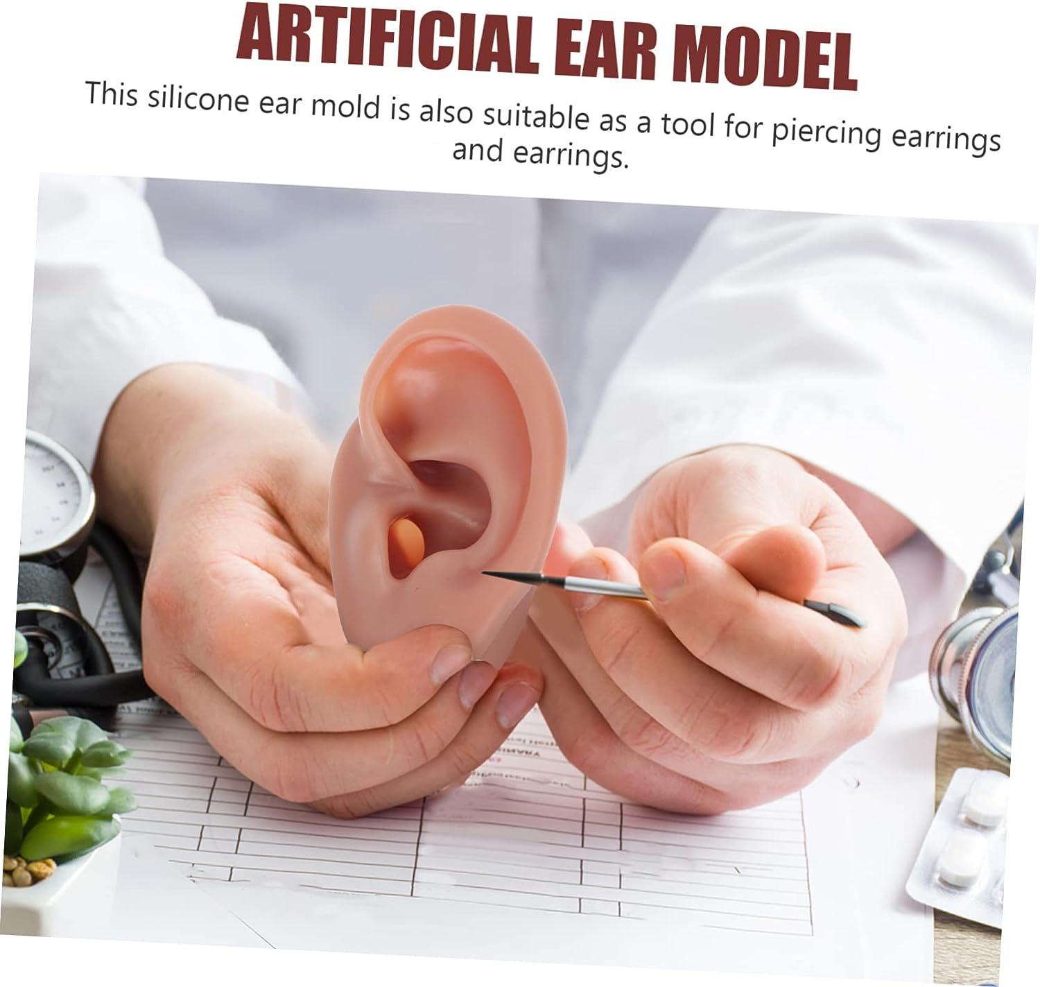 Silicone Human Ear Model for Massage, Piercing, and Simulation | Ear ...