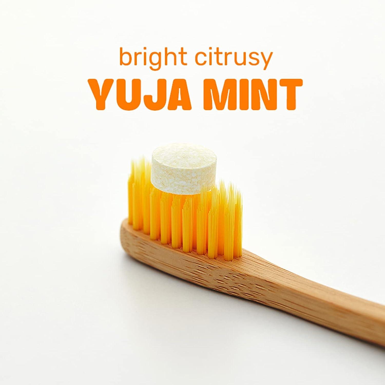 Dr. NOAH O-Bits Xylitol Toothpaste Tablets with Fluoride | Citrus Yuja ...