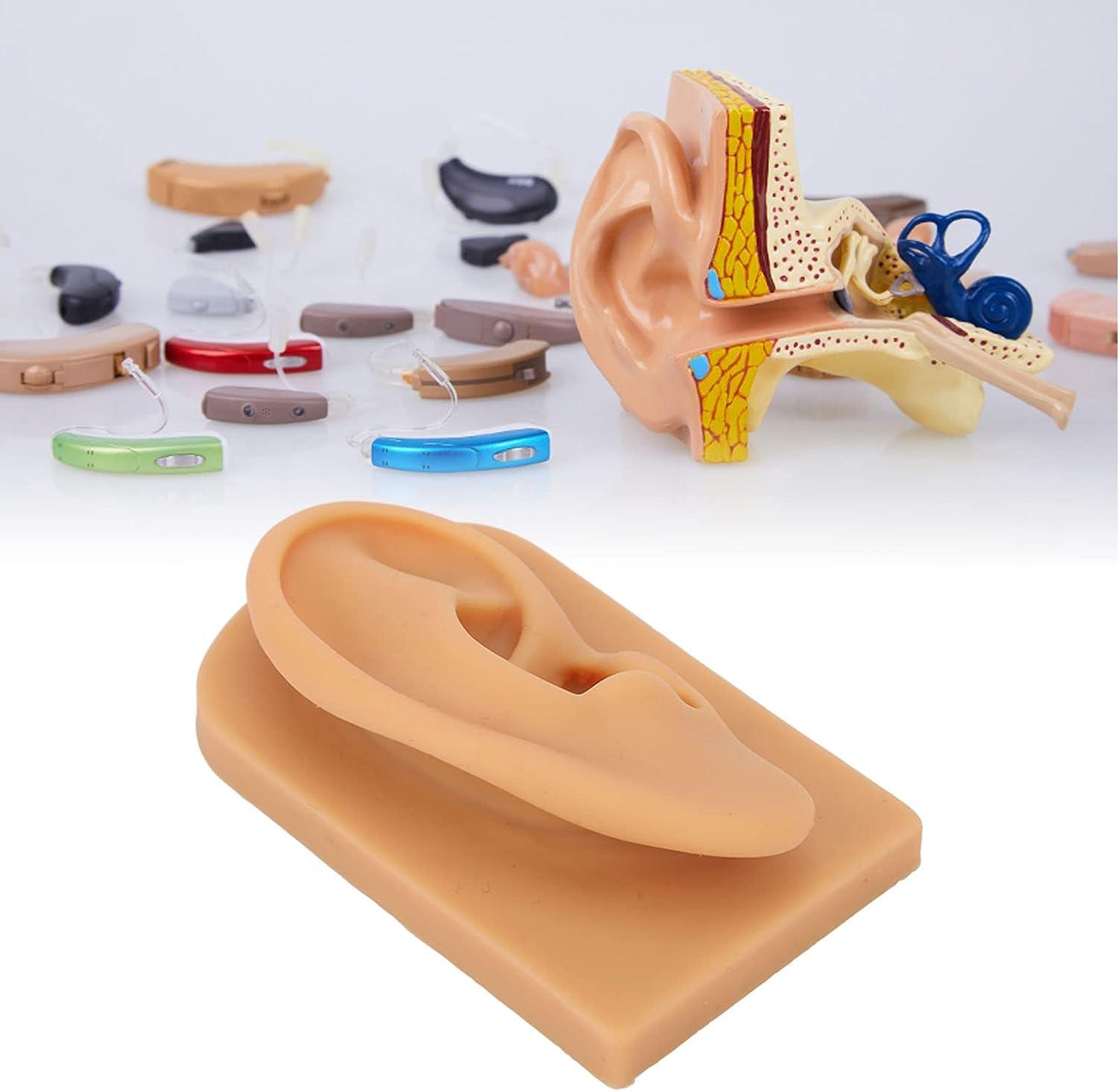 Waterproof Silicone Right Ear Hearing Aid Display Accessories | Buy Now ...