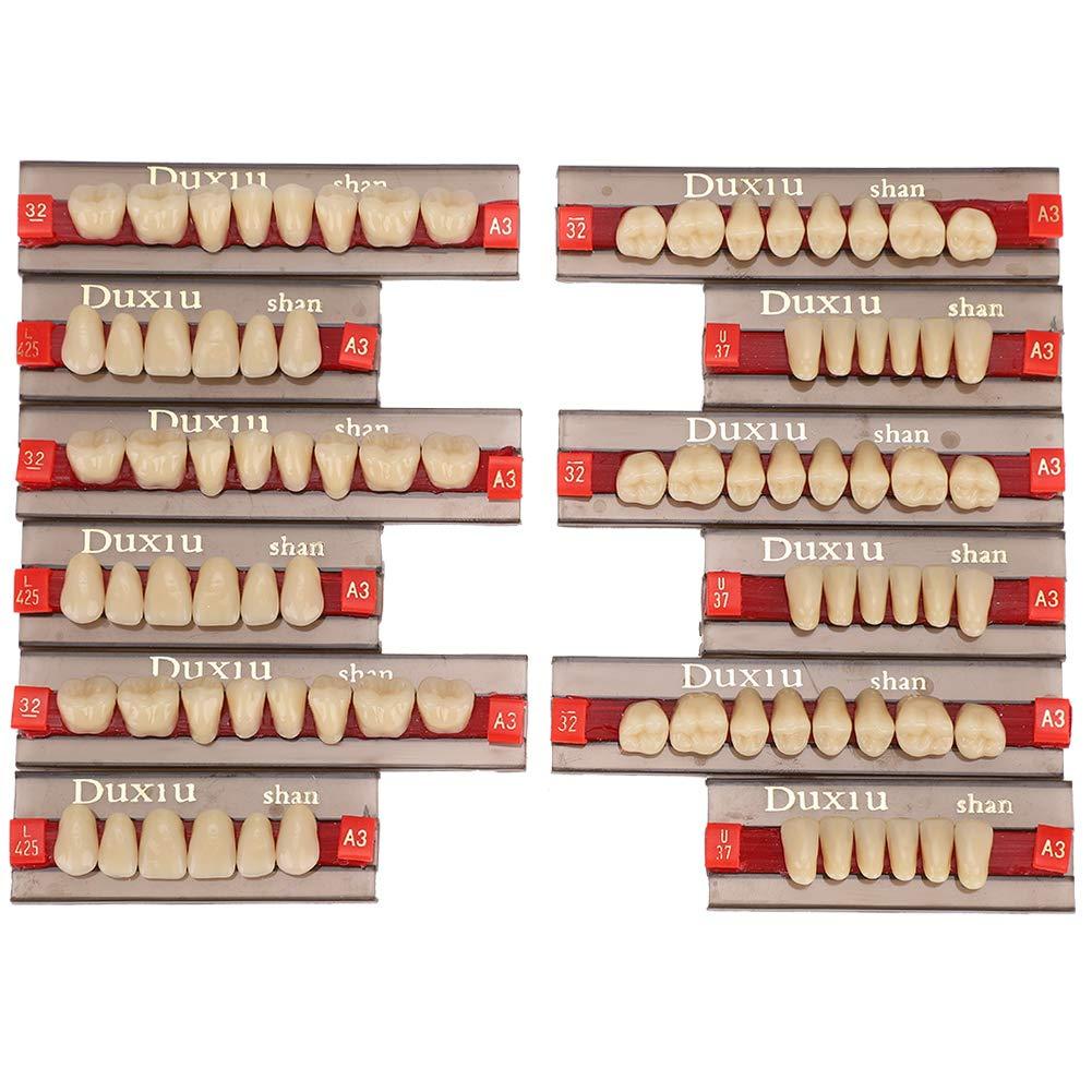 Buy High-Quality Dentures Teeth - Acrylic Resin Dental Material ...