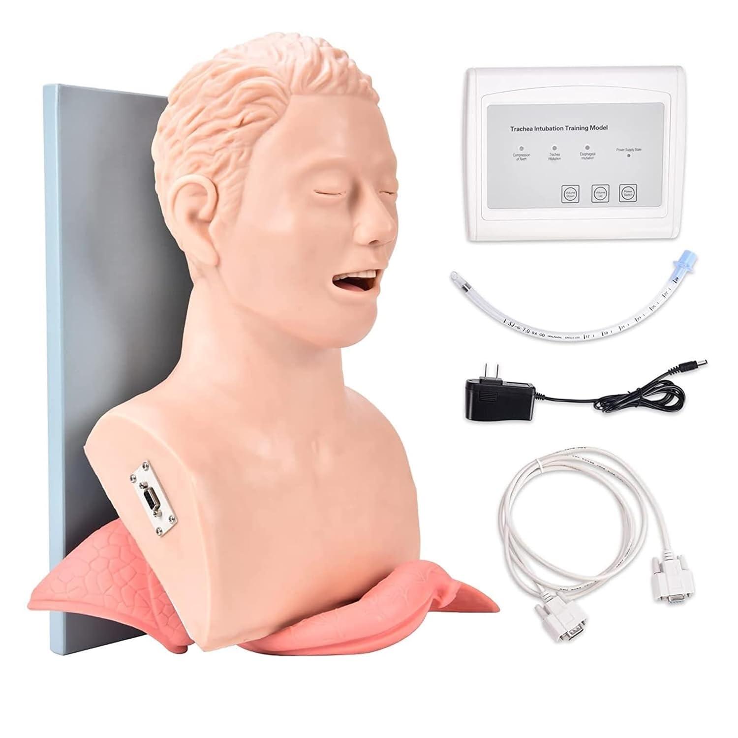 AYGJKIE Oral Nasal Intubation Trainer Manikin - Advanced Airway ...