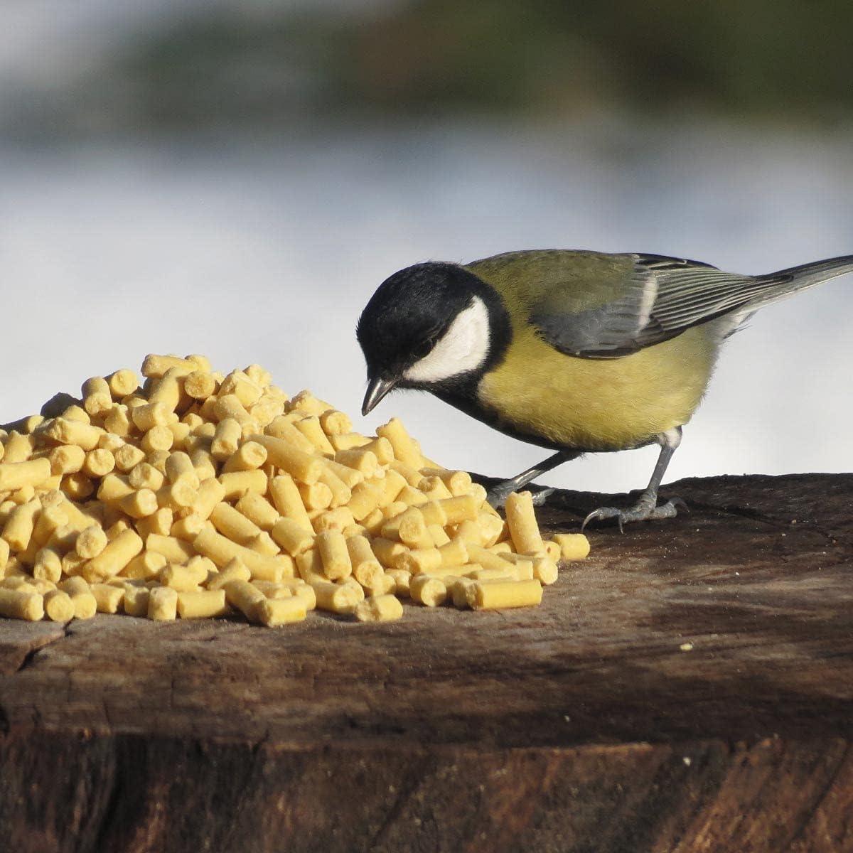 Suet to Go Grab N Go Insect Suet Pellets 3kg | Buy Now with Express ...