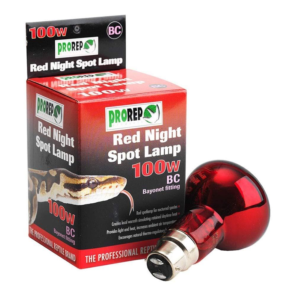 ProRep BC Spot Lamp 100 Watt Red Night | Buy Now with Express ...