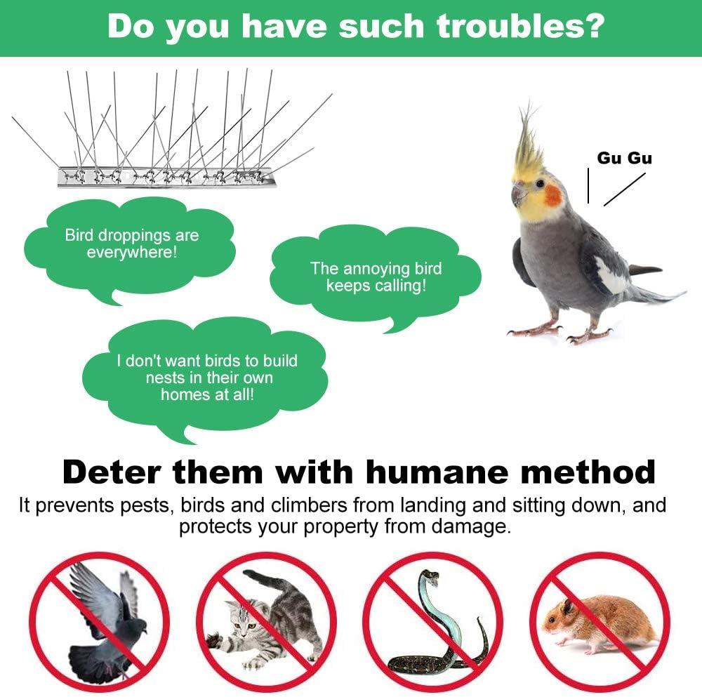 Rmenoor Pigeon Defense Spikes - 5 PCS Stainless Steel Bird Protection ...