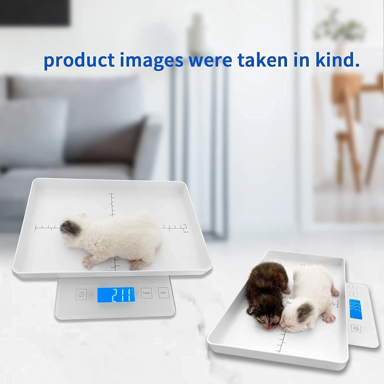 MINDPET-MED Digital Pet Scale for Small Animals | High Precision 1g ...