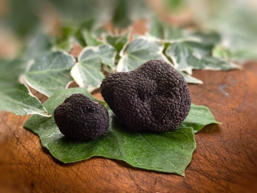 Buy Premium White Truffle Oil & Gourmet Black Summer Truffle | Extra ...