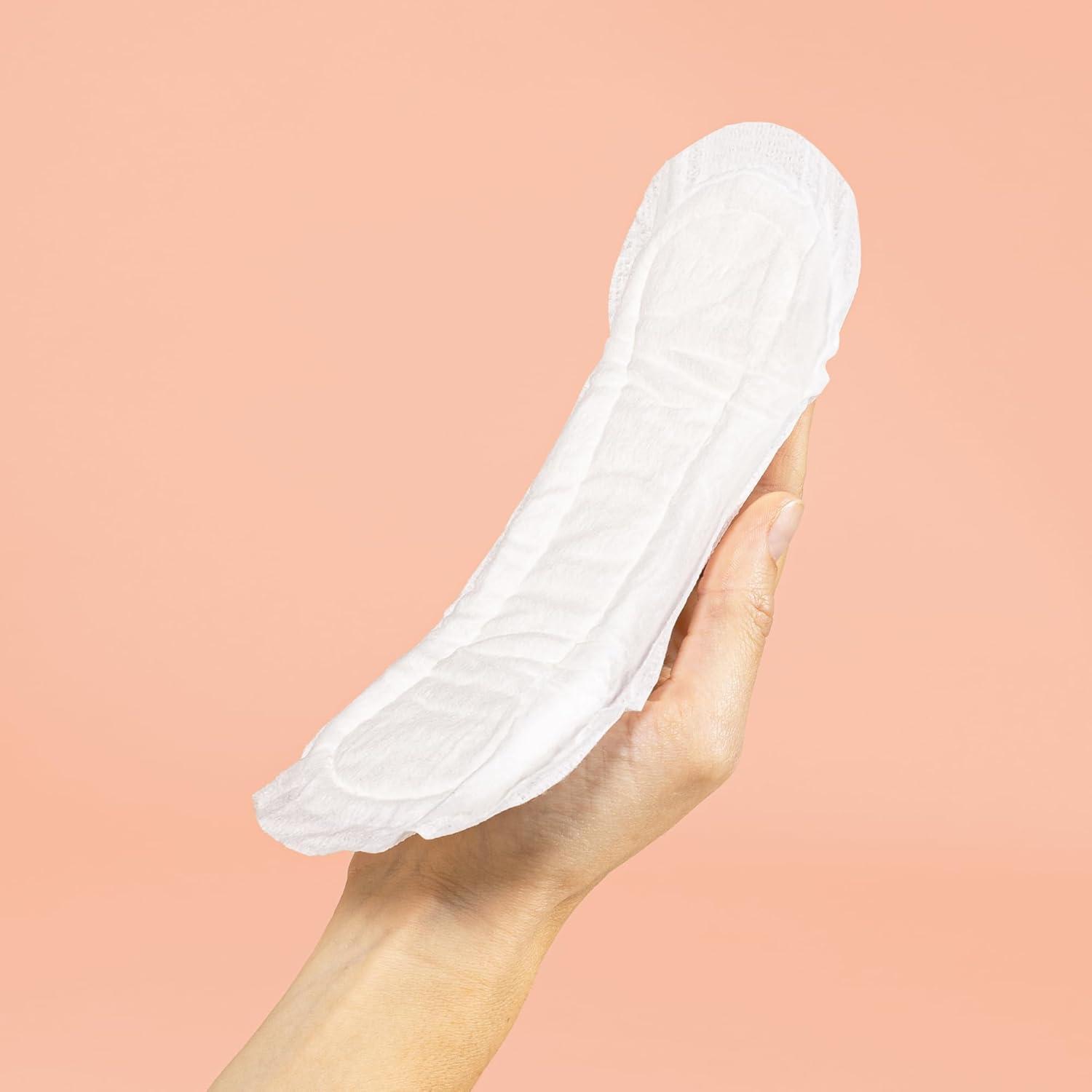 VIVOY DISCREET Mini Insoles - 60 Individually Packaged Hygiene Inserts ...